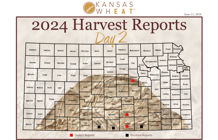Day 2, Kansas Wheat Harvest Report 2024 | Kansas Wheat | Leaders in the ... Day 2, Kansas Wheat Harvest Report 2024 | Kansas Wheat | Leaders in the ...